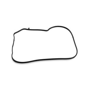 Anel de Vedação da Bomba D'Água para Caminhões Volvo FH13 - 21103569 ...